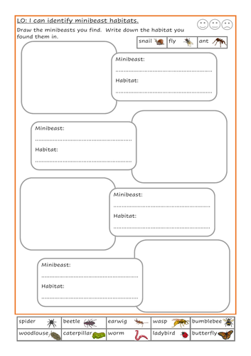 Minibeasts - science unit of work (KS1) | Teaching Resources