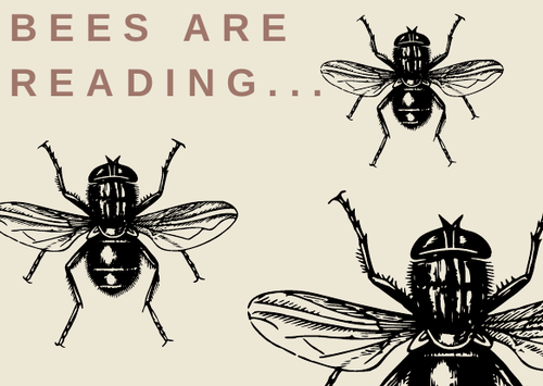 Bees are reading classroom sign | Teaching Resources