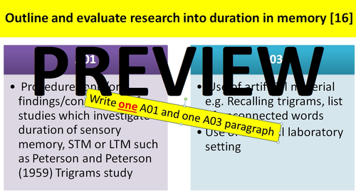 Coding, capacity and duration of memory - AQA A Level Psychology (Memory) | Teaching Resources