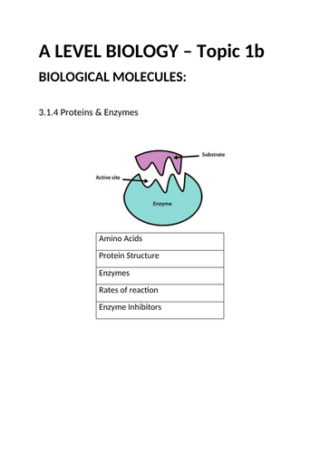 AQA A LEVEL BIOLOGY CLASS WORK BOOK PROTEINS AND ENZYMES | Teaching ...