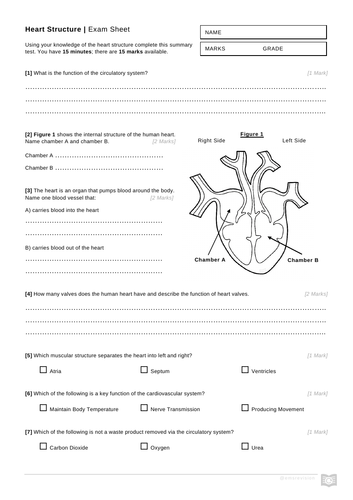 GCSE Biology | The Heart | Teaching Resources