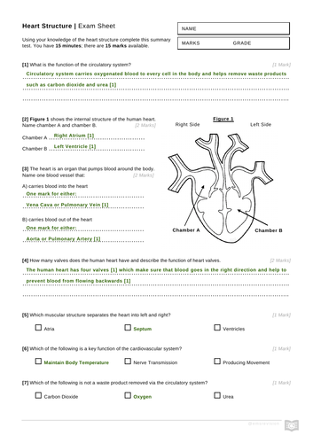 GCSE Biology | The Heart | Teaching Resources