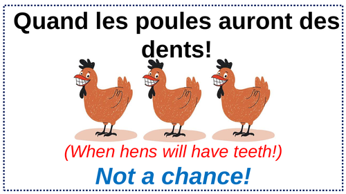 French idioms display | Teaching Resources