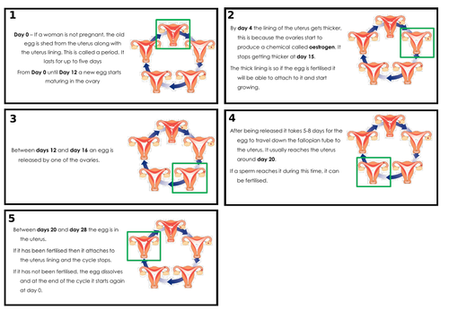 KS3 Science - Reproduction, pregnancy, plant structure & seed dispersal ...