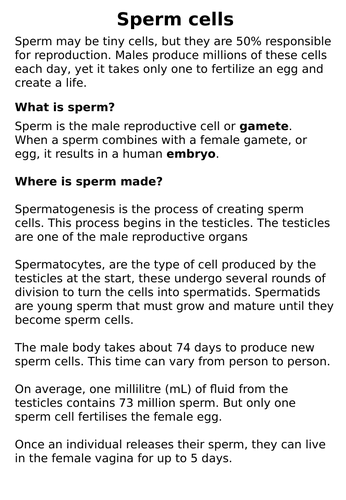 KS3 Science - Reproduction, pregnancy, plant structure & seed dispersal ...