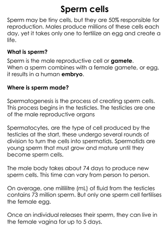 KS3 Science - Reproduction, pregnancy, plant structure & seed dispersal ...