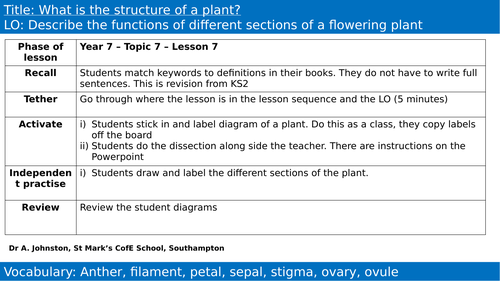 KS3 Science - Reproduction, pregnancy, plant structure & seed dispersal ...