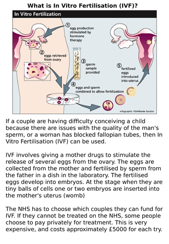 KS3 Science - Reproduction, pregnancy, plant structure & seed dispersal ...