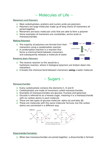 Topic 1A Biological Molecules - Biology A-Level AQA | Teaching Resources