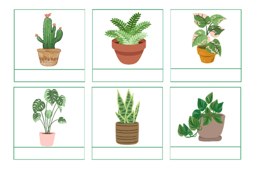 Editable plant themed name labels | Teaching Resources
