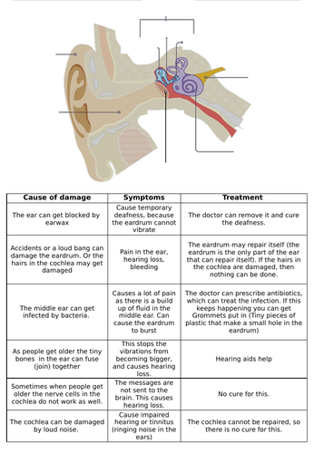 KS3 Science - Waves (Sound, Light and Electromagnetic), the Ear and the ...