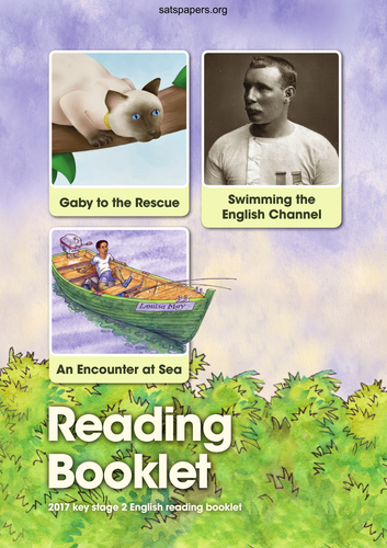 Year 6 Guided Reading - 1 week - 4 sessions based on 2017 SATs paper ...