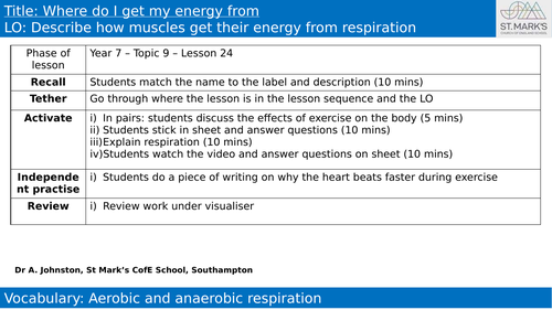 KS3 - Science - Digestive, nervous, circulatory, skeletal and muscular ...