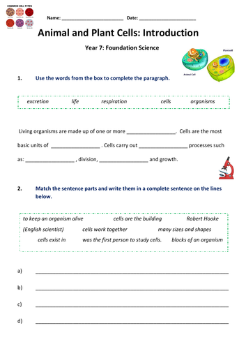 Animal and Plant Cells: Introduction Year 7-8 | Teaching Resources