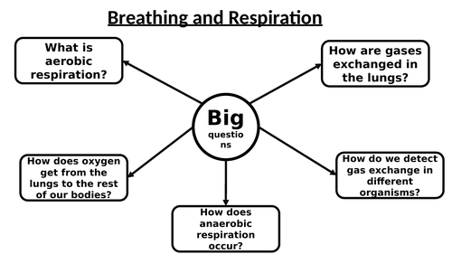 Revision PowerPoint for Breathing topic Y8 | Teaching Resources