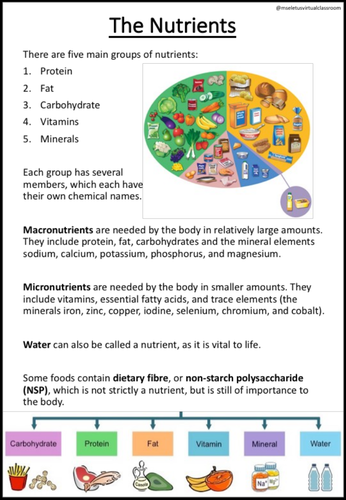 What is protein? - 2 Lesson Bundle | Teaching Resources