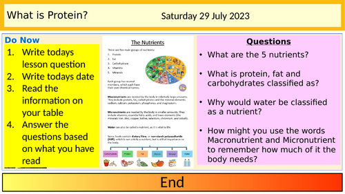 What is protein? - 2 Lesson Bundle | Teaching Resources