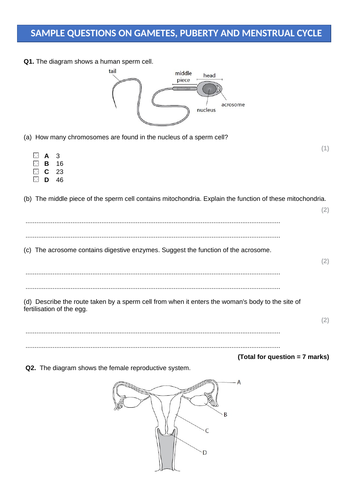 Reproduction - A complete set of resources for Edexcel IGCSE Biology ...