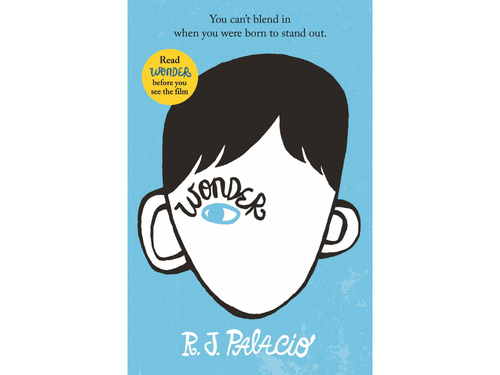 Wonder Reading Unit Planning | Teaching Resources