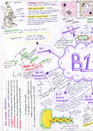 GCSE BIOLOGY B1-B4 : Cells and Organisation | Teaching Resources