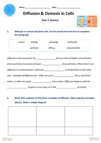 Diffusion and Osmosis in Animal and Plant Cells - Year 7-8 | Teaching ...