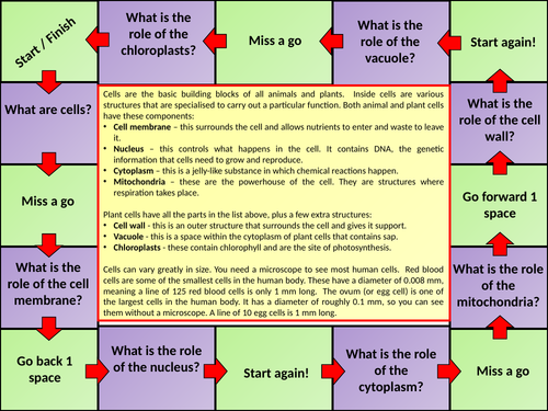 KS3 Science: Plant & Animal Cells Lesson & Activities | Teaching Resources