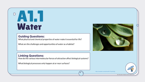 New IB Biology (FE2025) topic posters | Teaching Resources