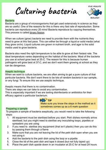 AQA GCSE Biology Culturing Bacteria Revision Sheet | Teaching Resources
