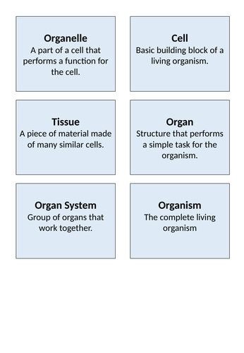 KS3 Science: Cells to Organ System Lesson & Activities | Teaching Resources