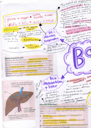 GCSE BIOLOGY B5-B9 : Disease, Photosynthesis and Respiration | Teaching Resources