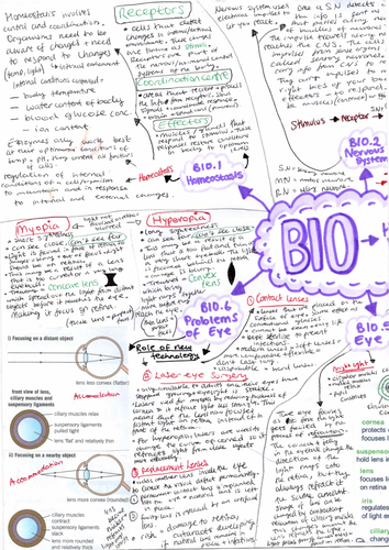 GCSE Biology B10-B11 : Human Nervous System and Hormonal Control ...