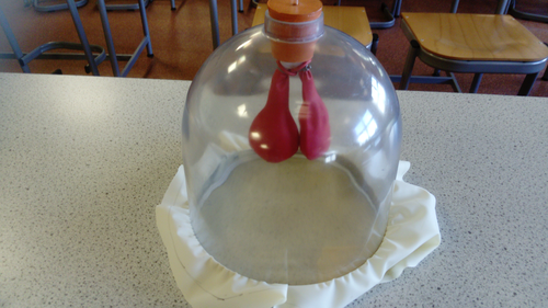 KS3 Science: Gas Movement in the Lungs Lesson & Activities | Teaching ...