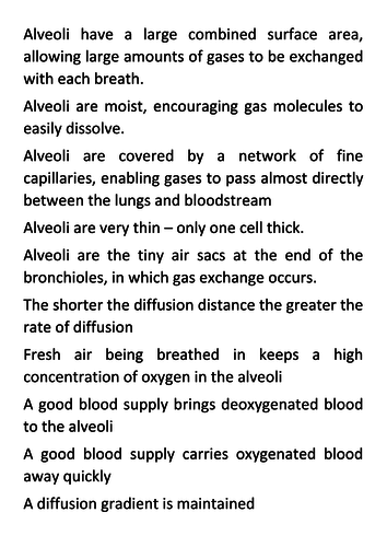 KS3 Science: Gas Exchange in the Lungs Lesson & Activities | Teaching ...