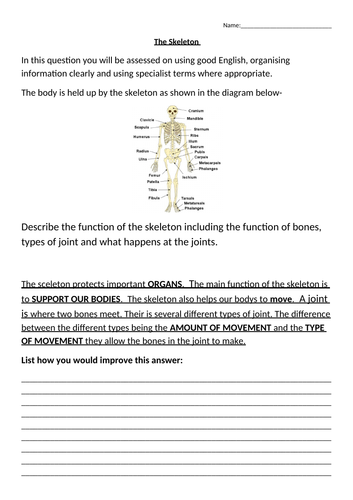 KS3 Science: Joints Lesson & Activities | Teaching Resources