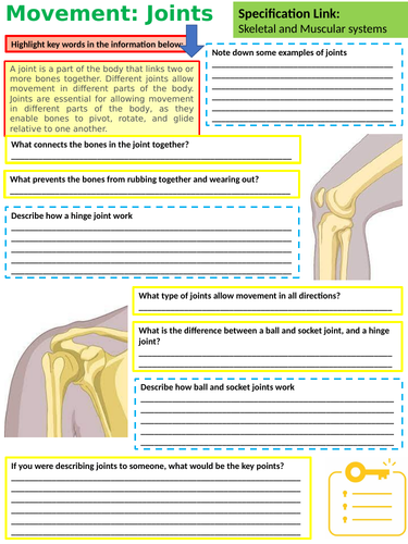 KS3 Science: Joints Lesson & Activities | Teaching Resources