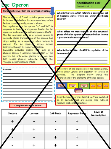 A Level Biology: Genetics of Living Systems Workbook | Teaching Resources