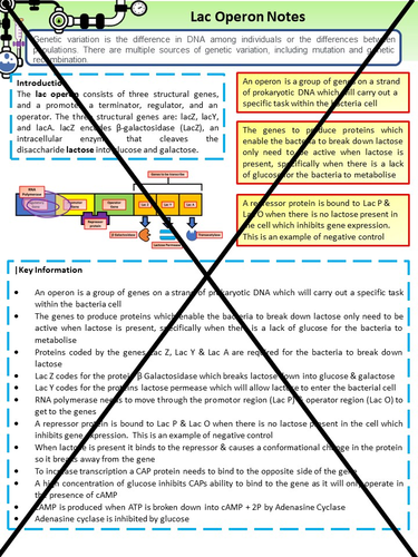 A Level Biology: Genetics of Living Systems Workbook | Teaching Resources