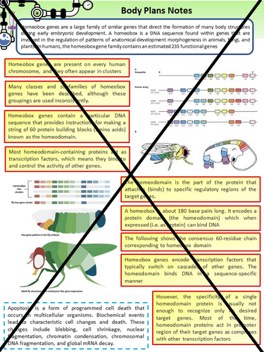 A Level Biology: Genetics of Living Systems Workbook | Teaching Resources