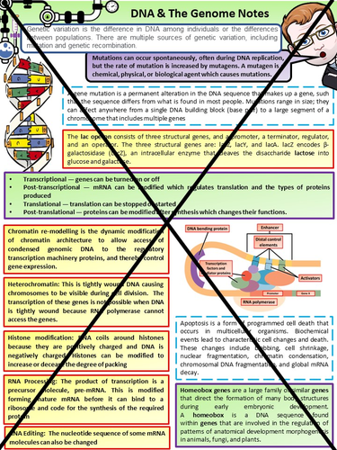 A Level Biology: Genetics of Living Systems Workbook | Teaching Resources