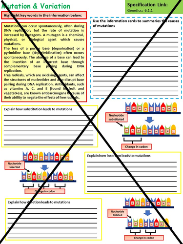 A Level Biology: Genetics of Living Systems Workbook | Teaching Resources