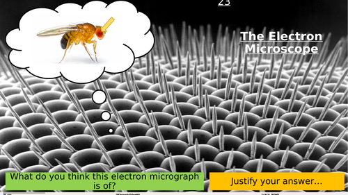 3.2 The Electron Microscope | Teaching Resources