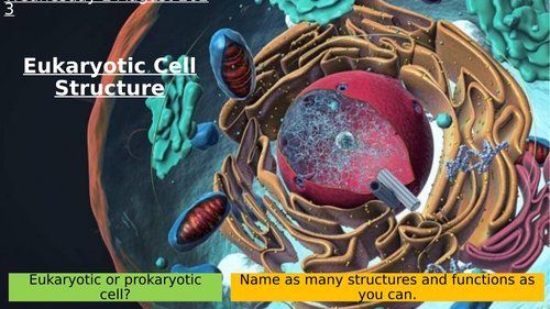 3.4 Eukaryotic Cell Structure | Teaching Resources