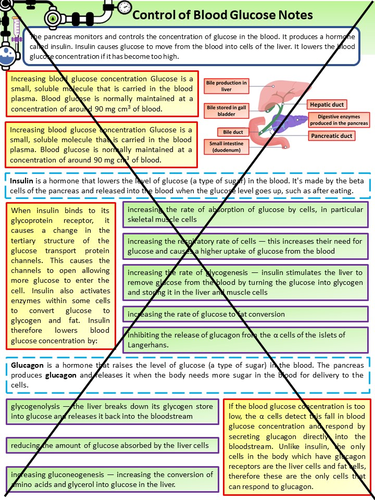 A Level Biology: Hormonal Control Workbook | Teaching Resources