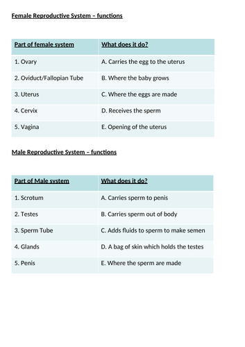 KS3 Science Reproduction - Reproductive systems | Teaching Resources