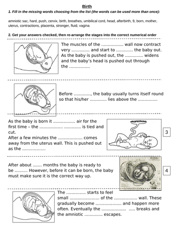 KS3 Science Reproduction - Labour | Teaching Resources