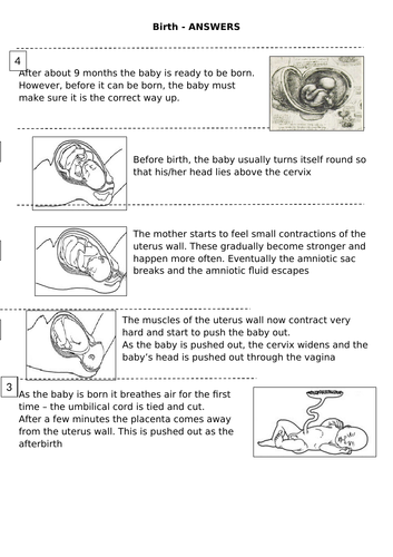 KS3 Science Reproduction - Labour | Teaching Resources