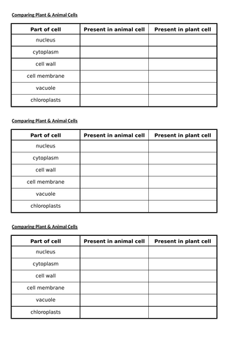 KS3 Science Cells | Teaching Resources