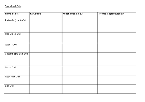 KS3 Science Cells - Specialised cells | Teaching Resources