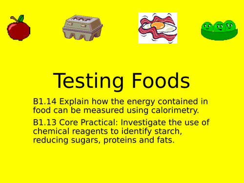 Edexcel SB1Testing Foods Core Practical and Calorimetry Complete 2 ...