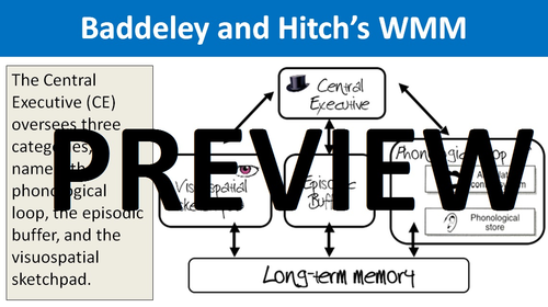 Working memory model - AQA A Level Psychology (Memory) | Teaching Resources